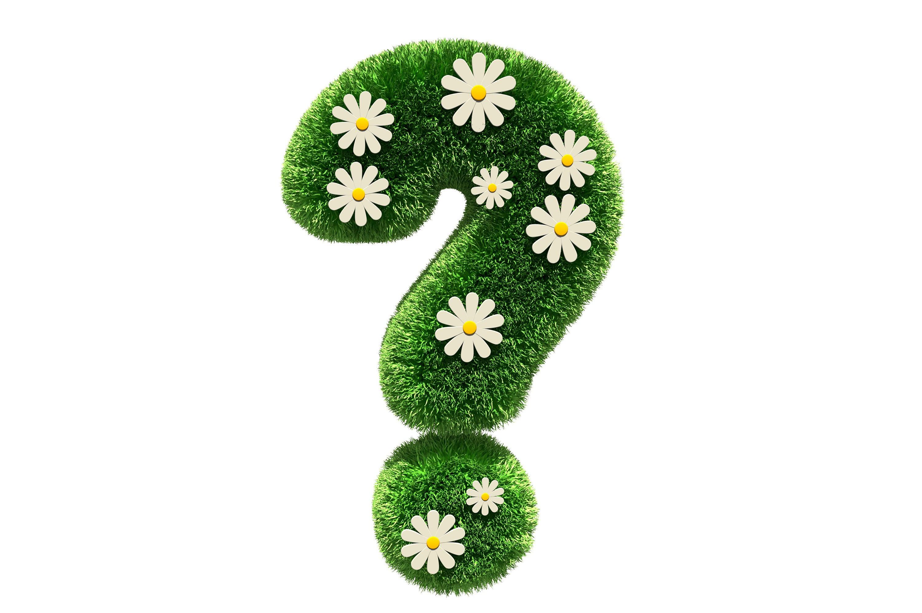 How to decarb? – Magical Brands