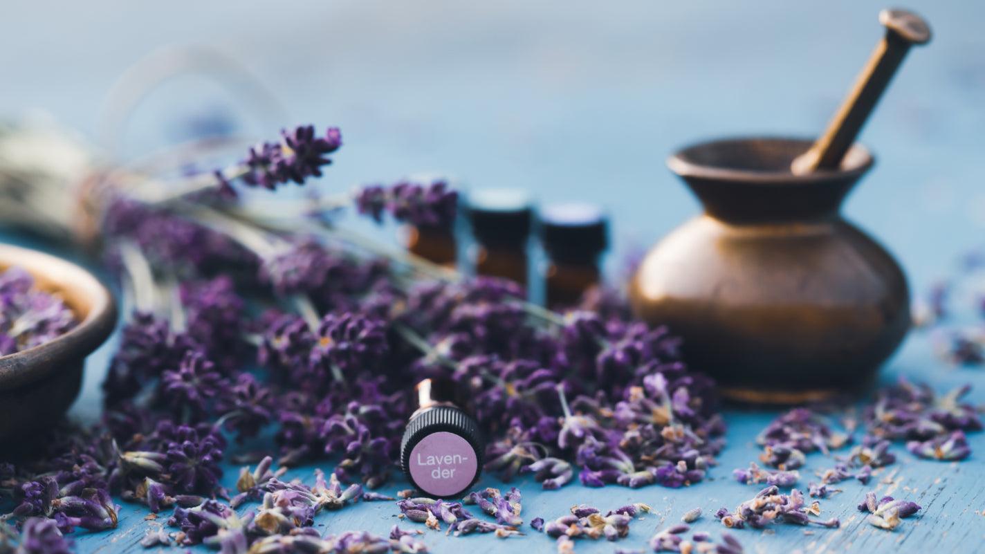 Relax and Rejuvenate with Lavender Infusions – Magical Brands